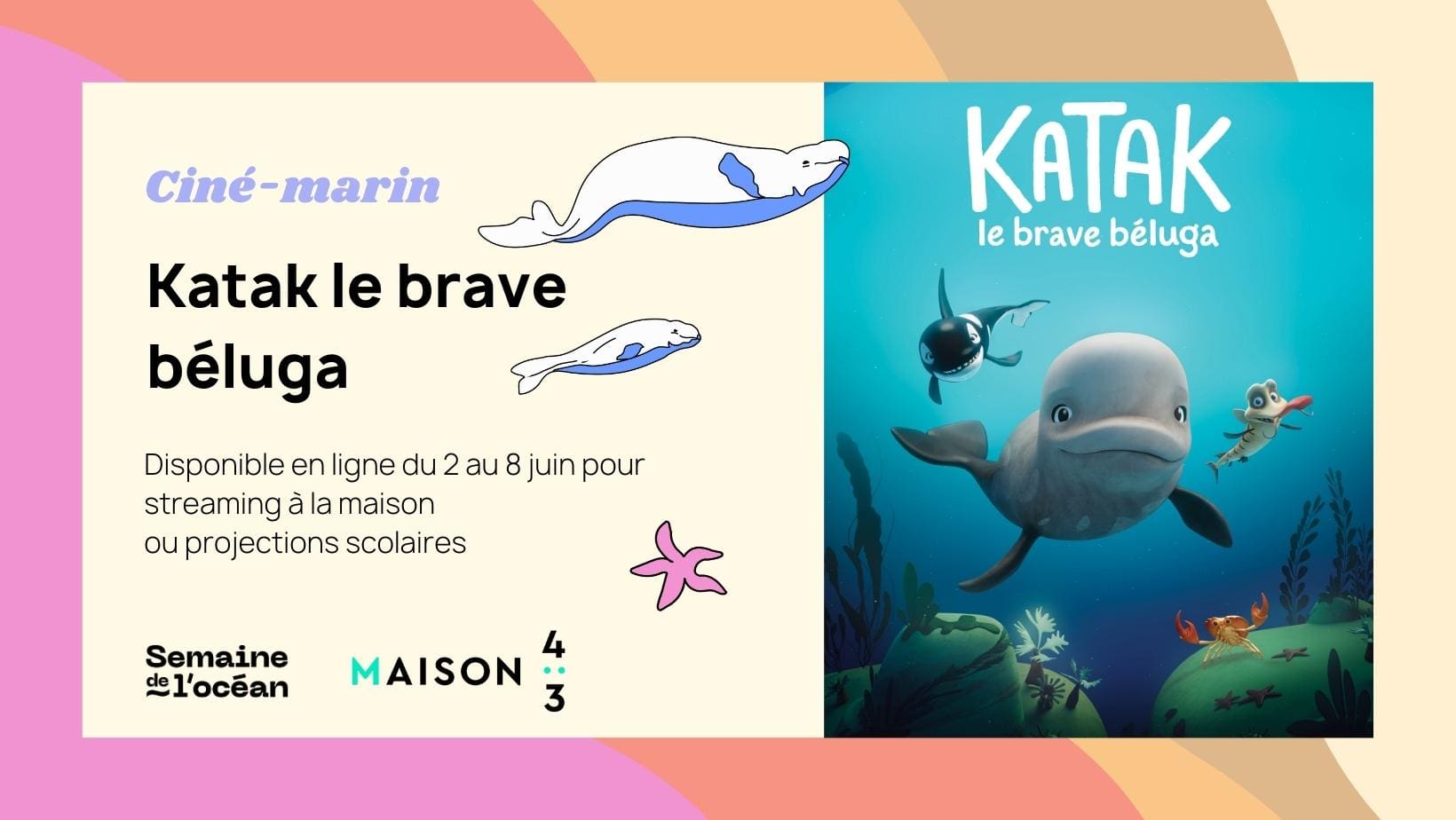 Ciné-Marin – Broadcast of Katak, The brave beluga