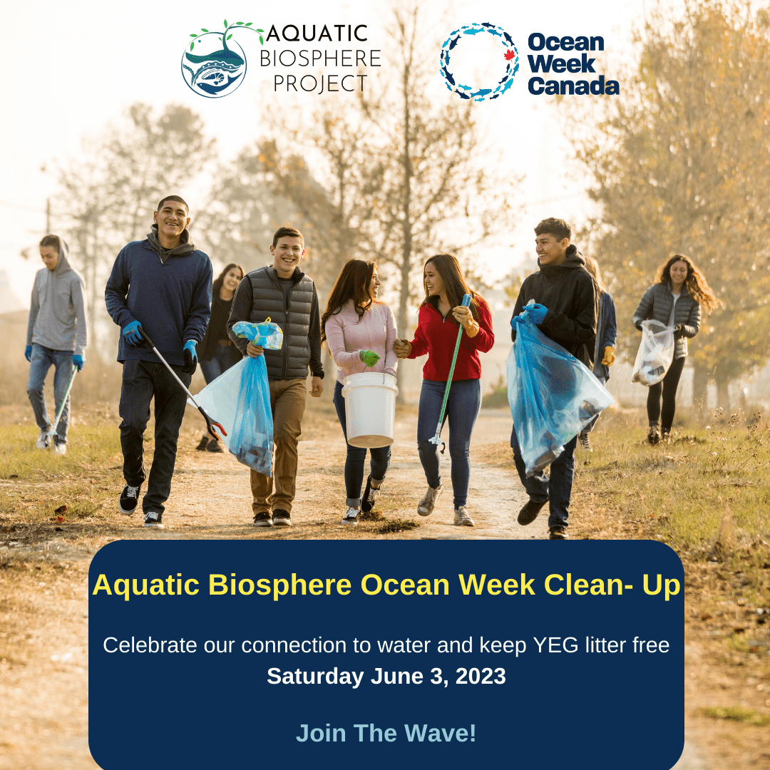 Aquatic Biosphere Ocean Week Clean-Up