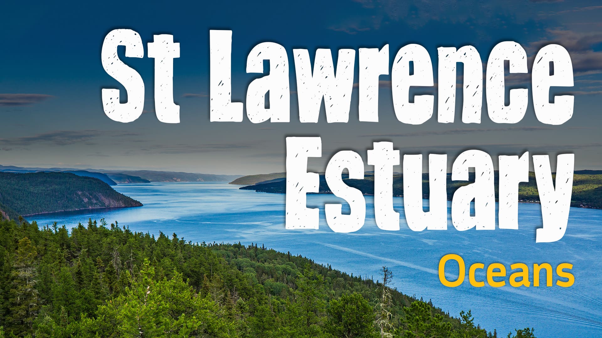 Ocean Week at Live It Earth!