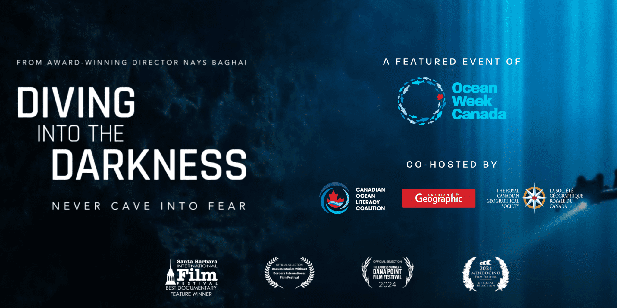 Virtual screening of Diving Into Darkness for TEACHERS