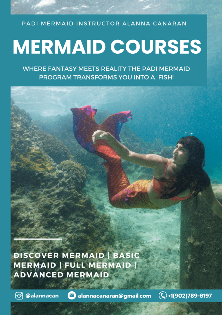 Seafoxes PADI Basic Mermaid Course