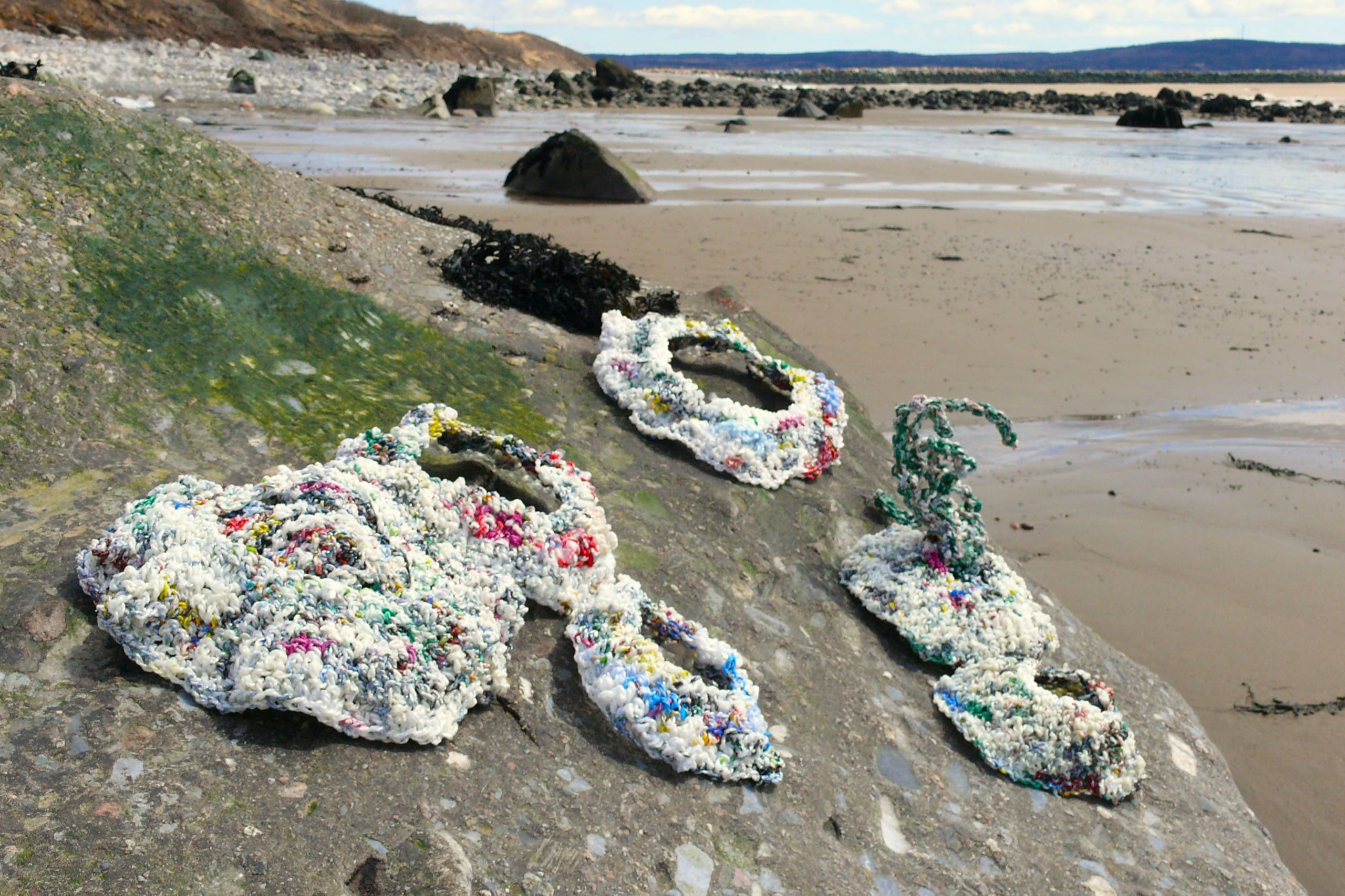 The Barnacle Project