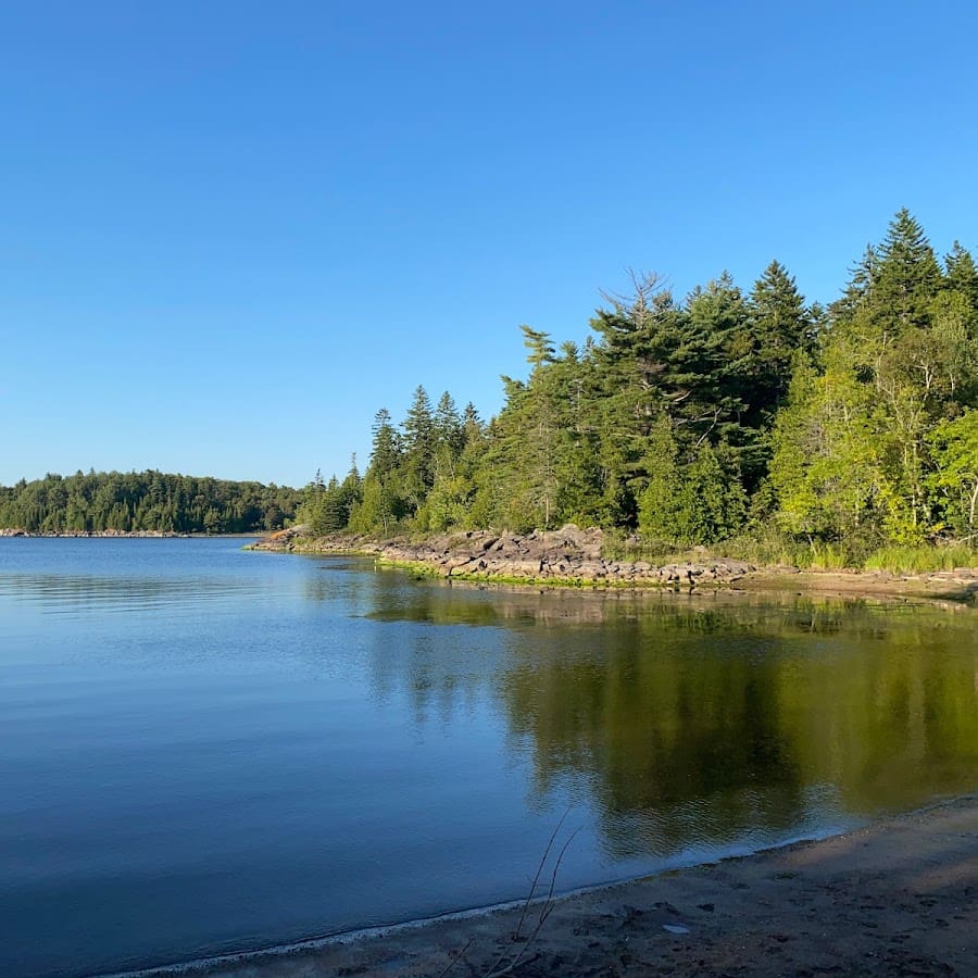 Flow | Courant | Psiw-Tepos — A Gathering in Motion