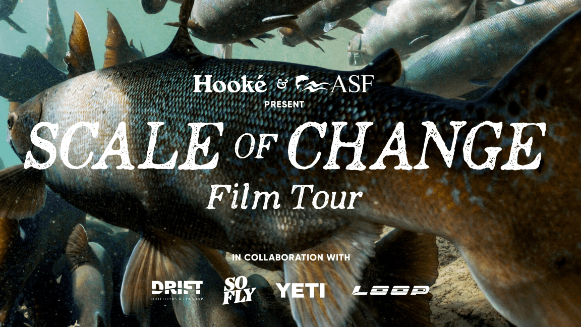 Scale of Change – Toronto